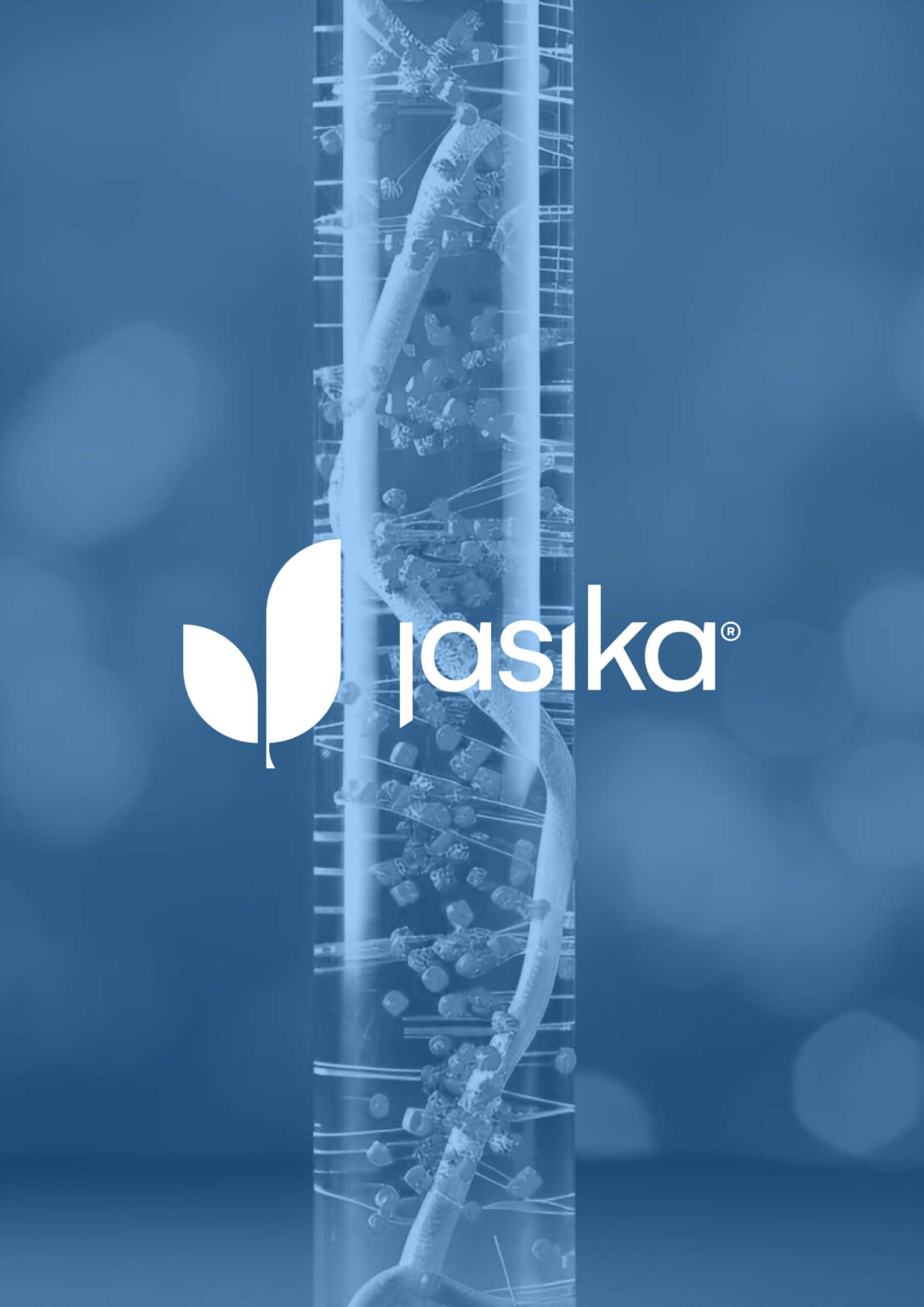 About us - Jasika